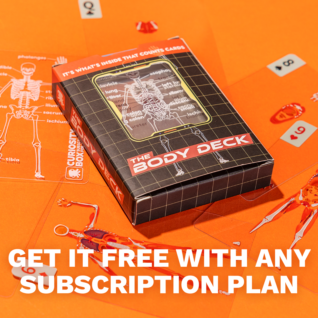The Body Deck - Get it FREE when you subscribe! – The Curiosity Box