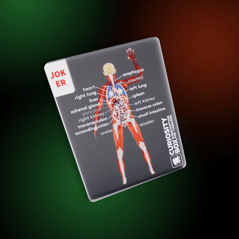 The Body Deck – The Curiosity Box