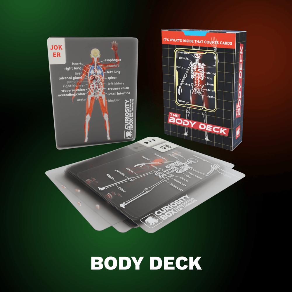 Collections – The Curiosity Box
