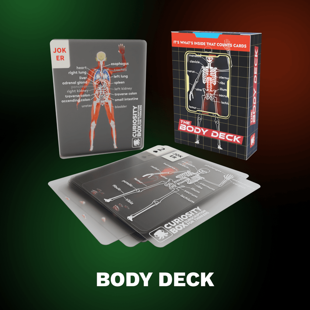 The Body Deck – The Curiosity Box