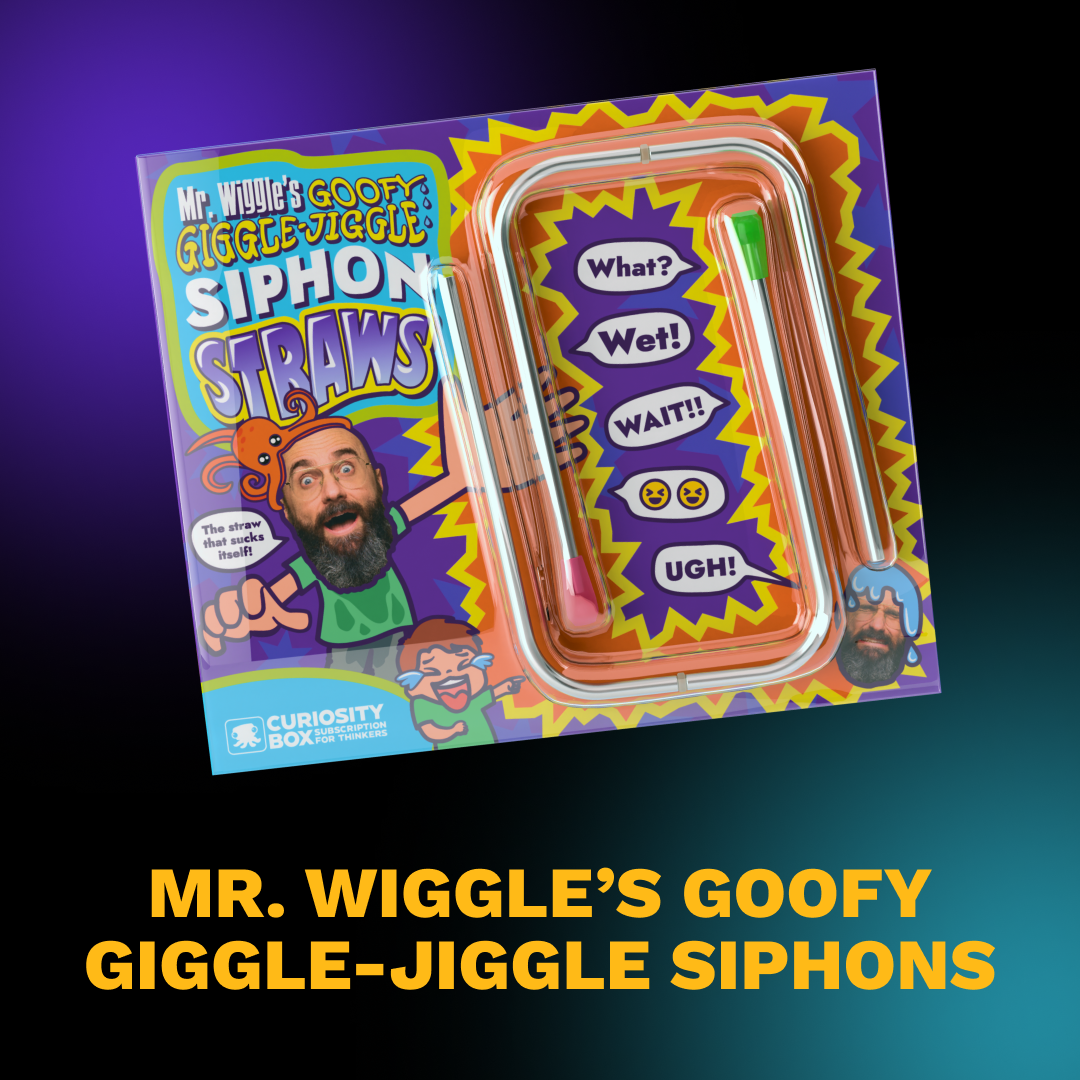 Curiosity Box - Annual Plan – The Curiosity Box